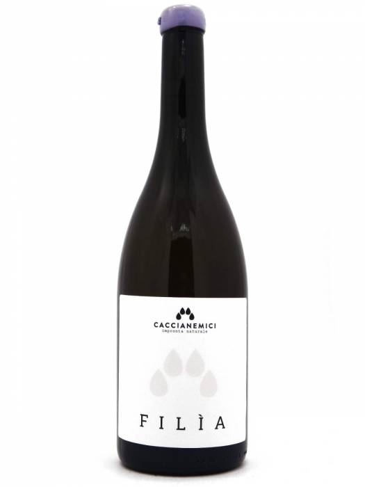Filìa Grechetto Gentile Caccianemici Emilia IGT 2021 75 cl - Vini ...